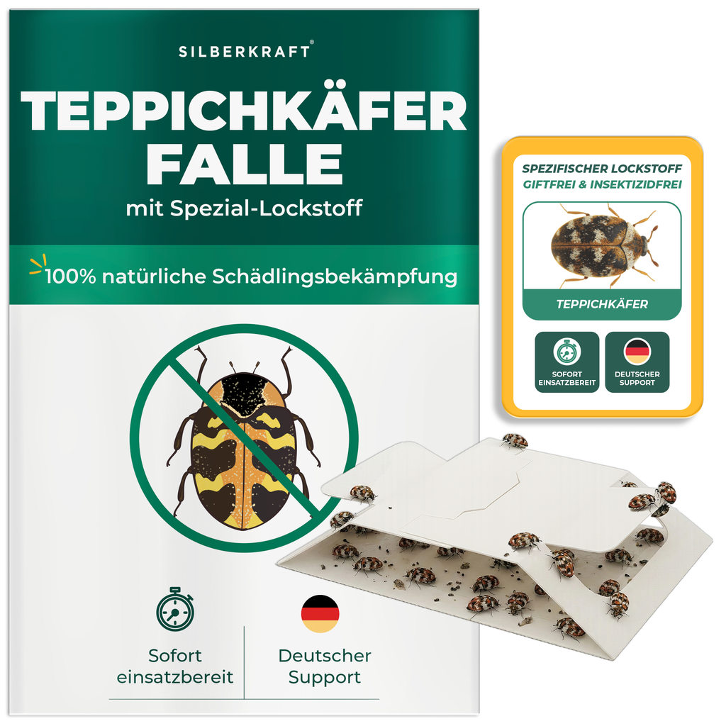 Teppichkäfer in der ganzen Wohnung: Ursachen & Notfall-Plan — Silberkraft
